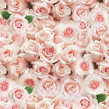 Amazon.com: Elegant Pink Rose Wrapping Paper - 6ft Roll: Health ...