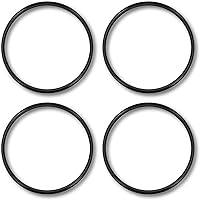 Amazon.com: GLX-Union-ORING Pool Salt Chlorination Cell Union O-Ring ...