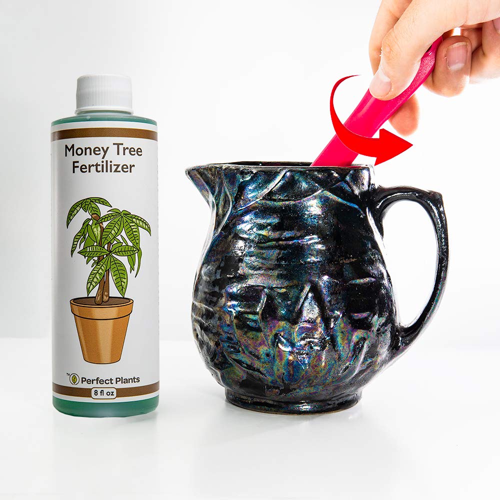 Pachira Money Tree Fertilizer