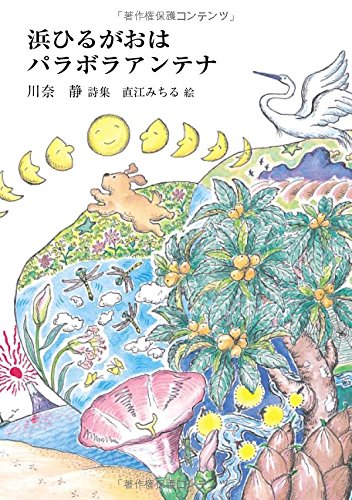 Parabolic antenna beach bindweed is - Kawana static collection of poems ...