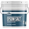 Amazon.com: Earthborn Elements Epsom Salt (1 Gallon), Resealable Bucket ...