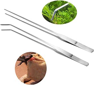 Amazon.com : RZRZOO Stainless Steel Straight and Curved Tweezers ...