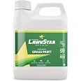 Amazon.com: Grass Paint Concentrate (500-1,000 sq ft) - for Dormant ...