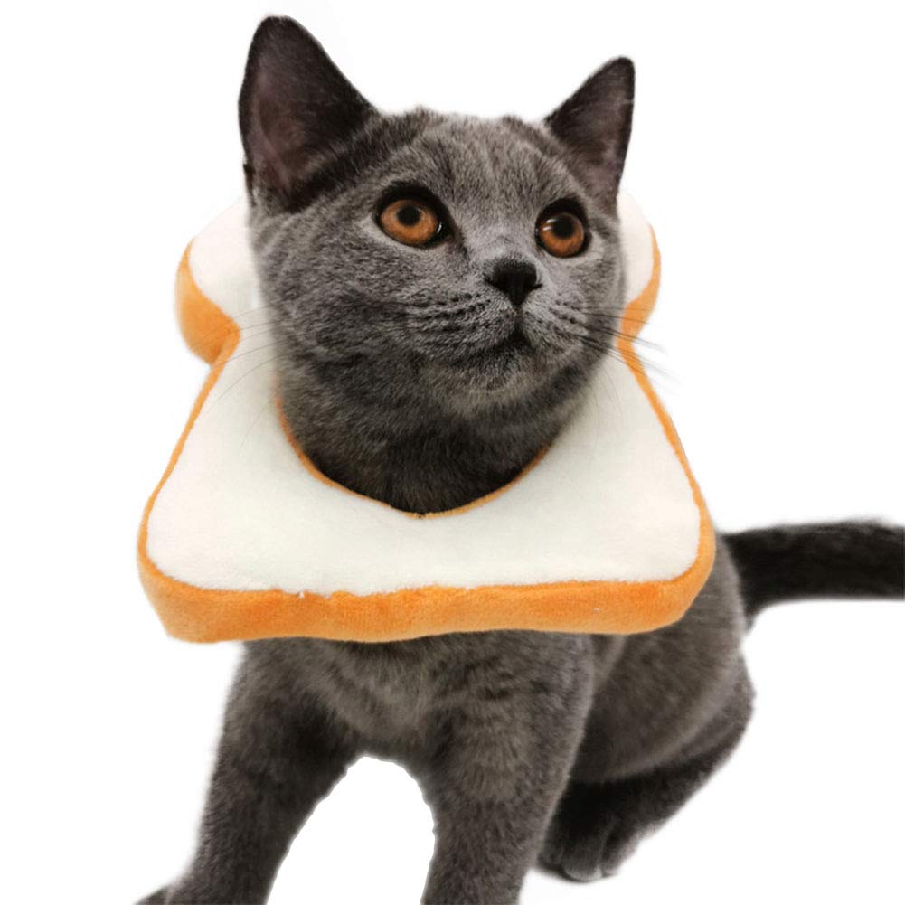 Cat Breading Costume