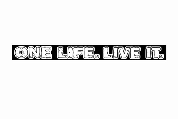 One Life Live It 4x4 Off Road Car Sticker white: Amazon.co.uk: Kitchen ...