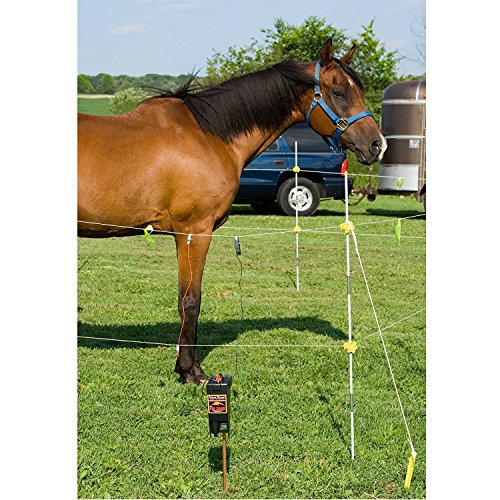 Buy Power Wizard PLK-1 Portable Corral Electric Fence Kit. Everything ...