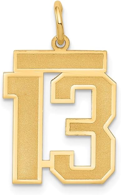 Amazon.com: 14k Medium Satin Number 13 Charm style LSM13: Jewelry