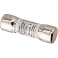 Bussmann BP/SC-15 15 Amp Time-Delay Class G Melamine Tube, 600V UL ...