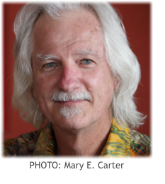 Startling Stereograms: Gary W. Priester, Gene Levine: 9781936140664 ...