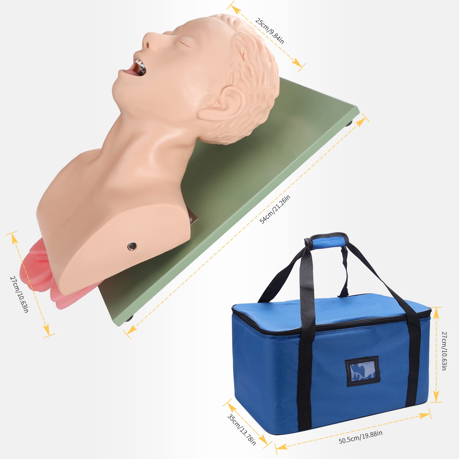 Mua faruijie Endotracheal Intubation Human Model - Tracheal Intubation ...
