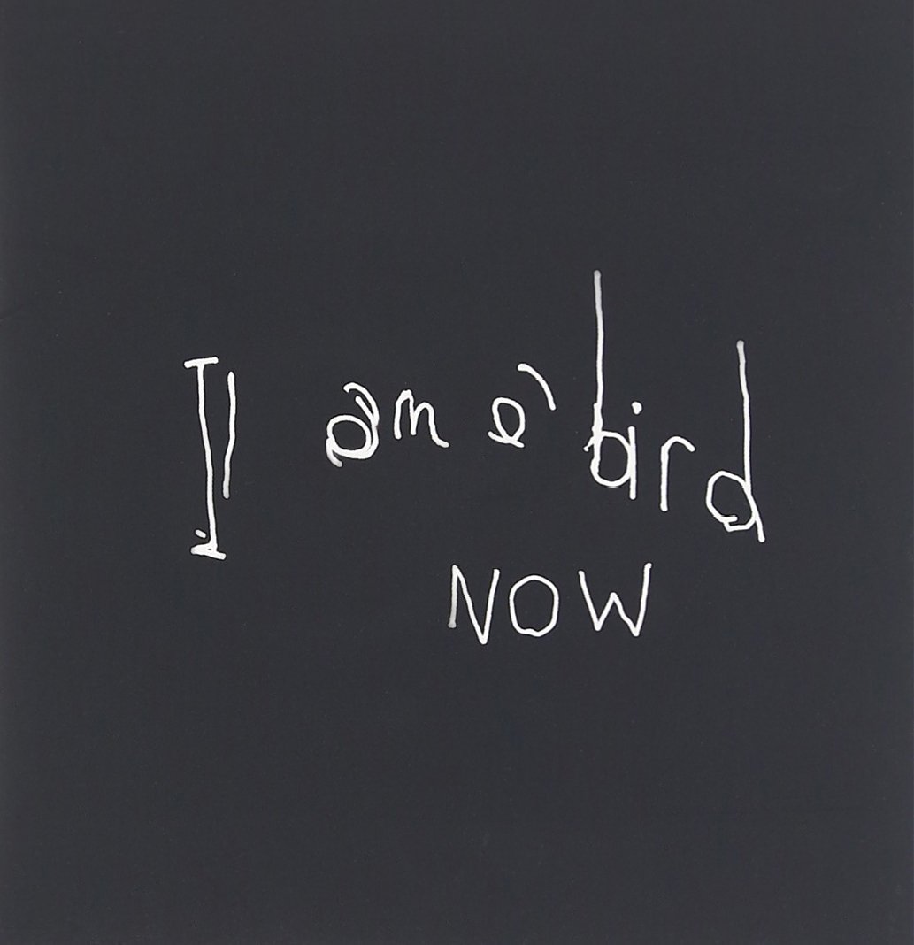 I am a Bird Now - ANTONY & THE JOHNSONS: Amazon.de: Musik