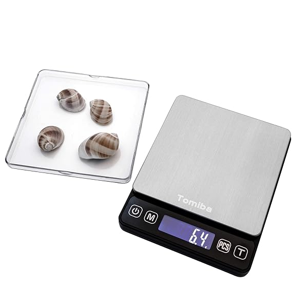 GuatemalaDigital.com - Producto: Precision Scale with Hold Function ...
