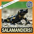 Salamanders!: A My Incredible World Picture Book for Children (My ...