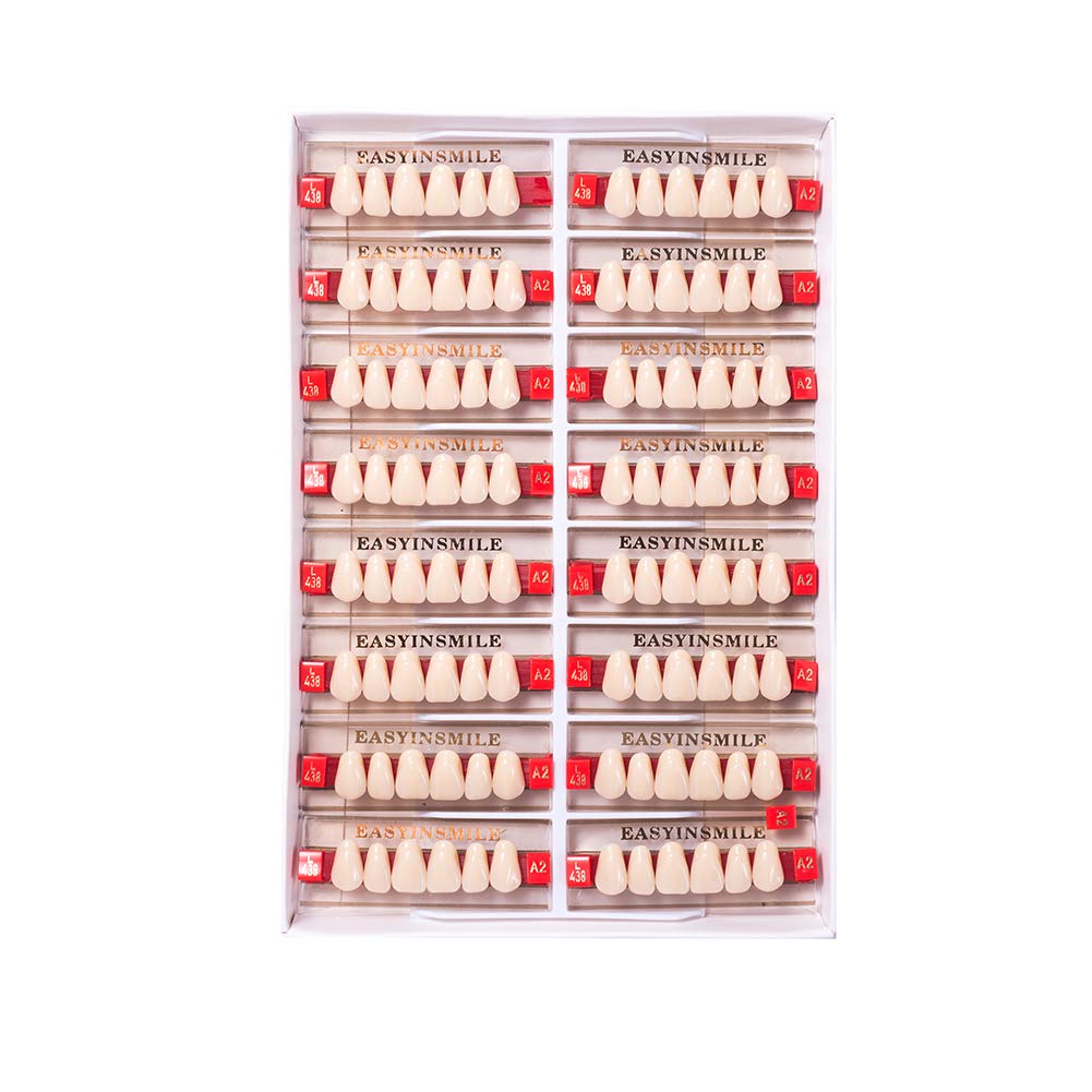 Buy Easyinsmile Dental Synthetic Resin Teeth Acrylic Denture False ...