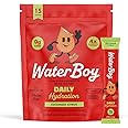 Amazon.com: Waterboy Daily Hydration | 1,570mg Electrolyte Powder ...
