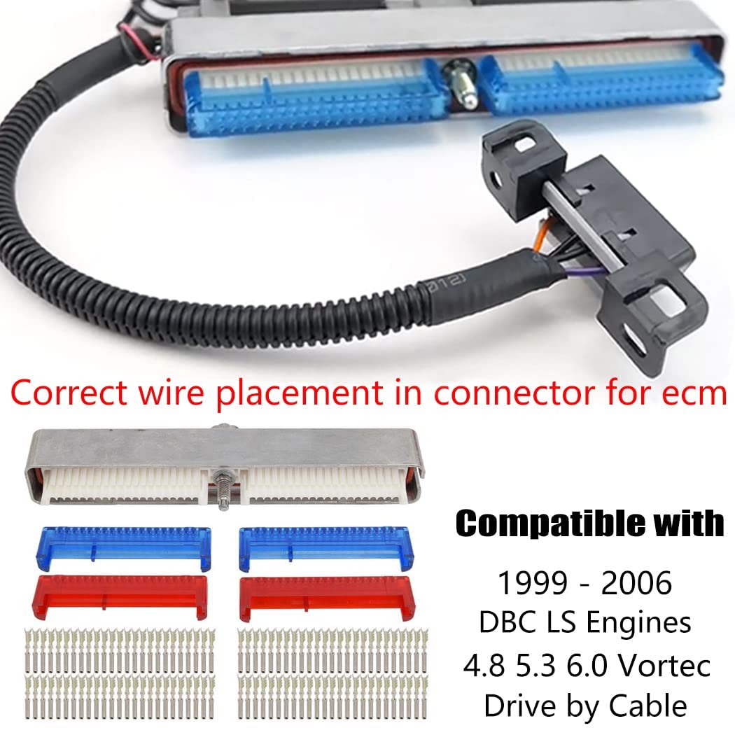 Mua WZruibo LS Wiring Harness Drive by Cable 5.3, ls Stand Alone Wiring ...