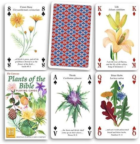 Plants of the bible playing cards – 54 different plants – BigaMart