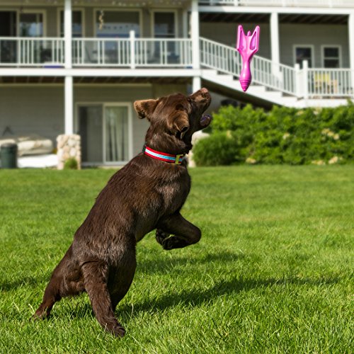 Kurgo Doggie Dart Dog Toy on Galleon Philippines