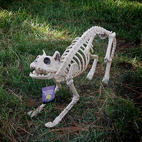 Halloween Haunters Life Size Skeleton Kitty Cat Prop Decoration - Scary ...