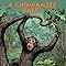A Chimpanzee Tale: Karen Young, Hoot the Chimpanzee: 9781438924489 ...