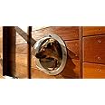 Amazon.com: 2-Pack Pet Love Fence Bubble Window for Pets and Dogs Peek ...
