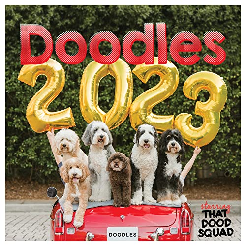 TF PUBLISHING Doodles, Starring: That Dood Squad 2023 Wall Calendar 12 ...