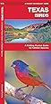 Birds of Texas Field Guide (Bird Identification Guides): Tekiela, Stan ...
