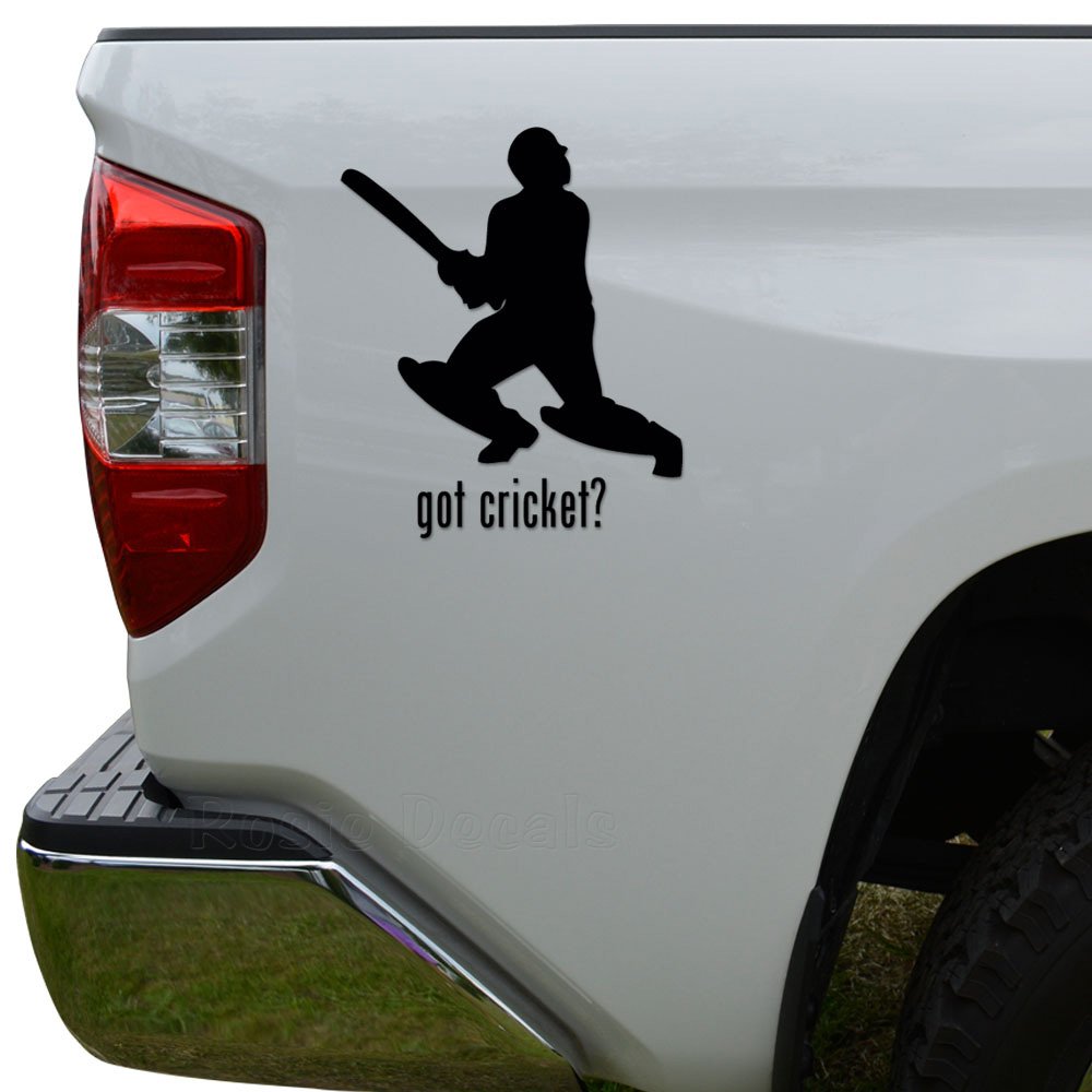 Amazon.com: Rosie Decals Got Cricket Sports Die Cut Vinyl Decal Sticker ...