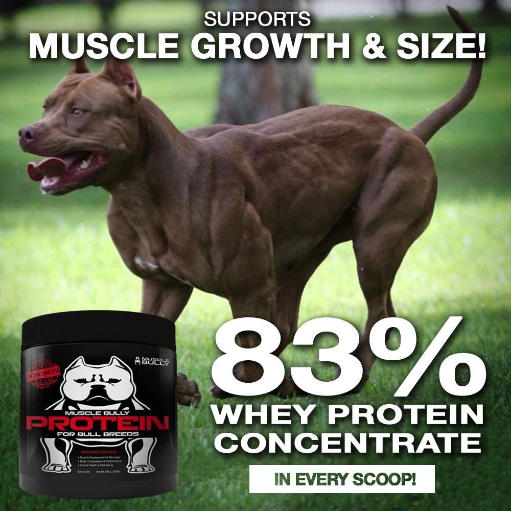 Mua Protein Supplement for Dogs - Supports Muscle Growth, Size and ...