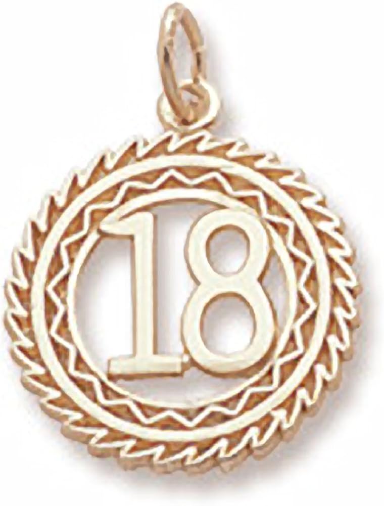 Amazon.com: 10k Yellow Gold Number 18, Charms for Bracelets and ...