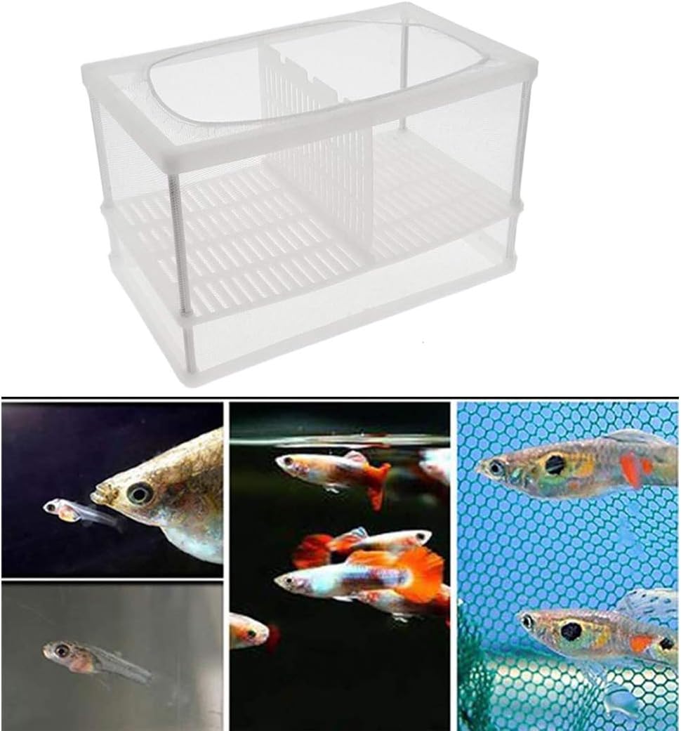 Saim Saim Aquarium Fry Hatchery Net Aquarium Fish Breeder Box Isolation ...