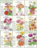Amazon.com : Botanical Interests"Just Zinnias" Flower Seed Collection ...