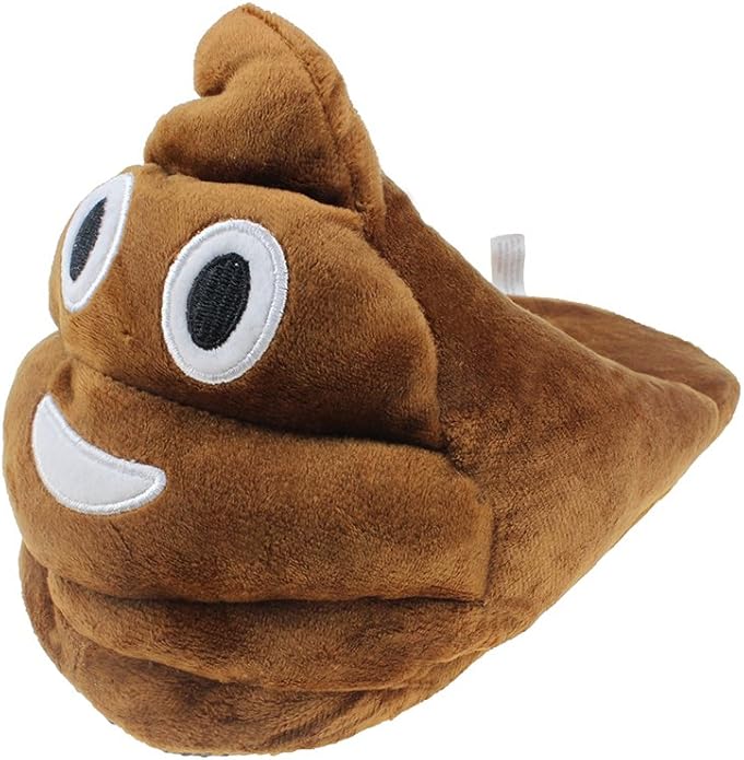 Buy Chiximaxu Maxu Unisex Poop Slippers Plush Warm Shoes at Amazon.in