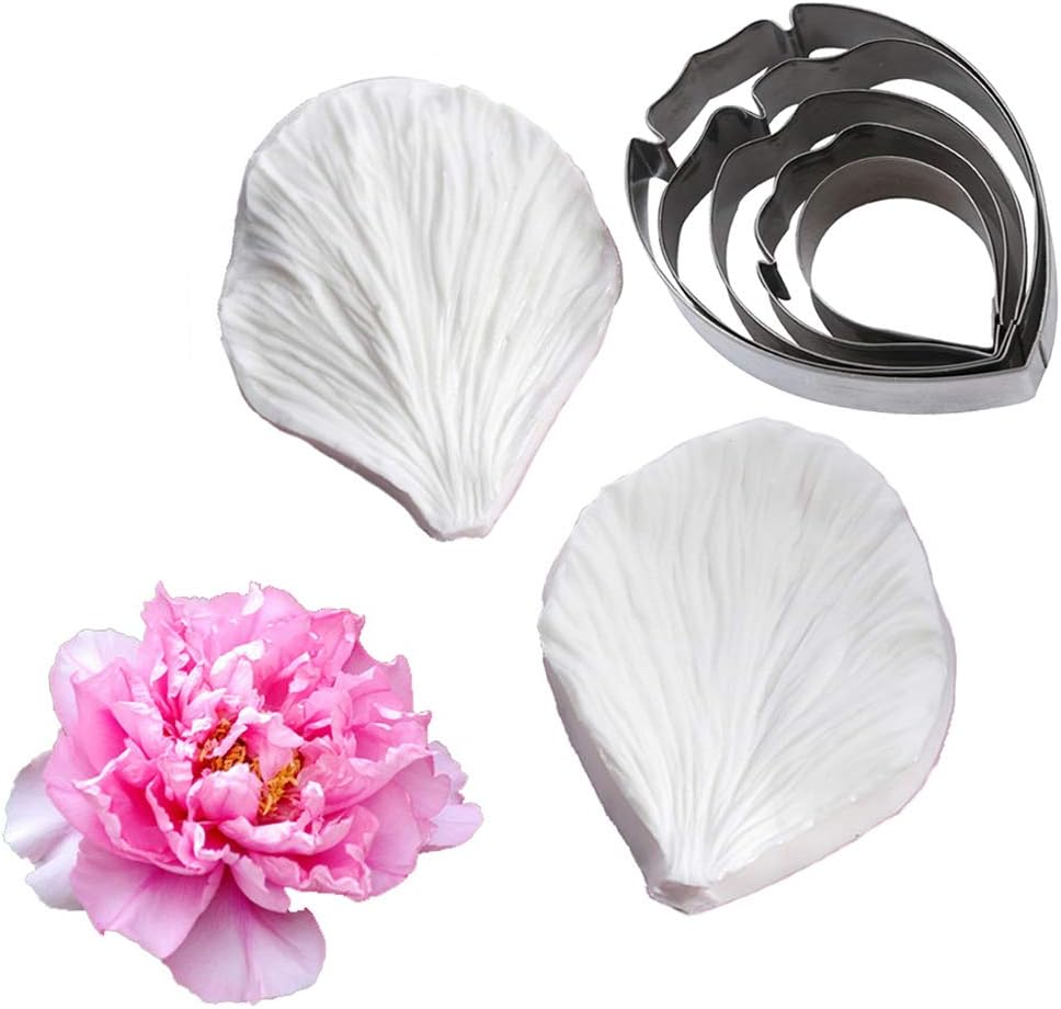 Amazon.com: KALAIEN 5pcs Stainless Steel Peony Cutter 2pcs Fondant ...