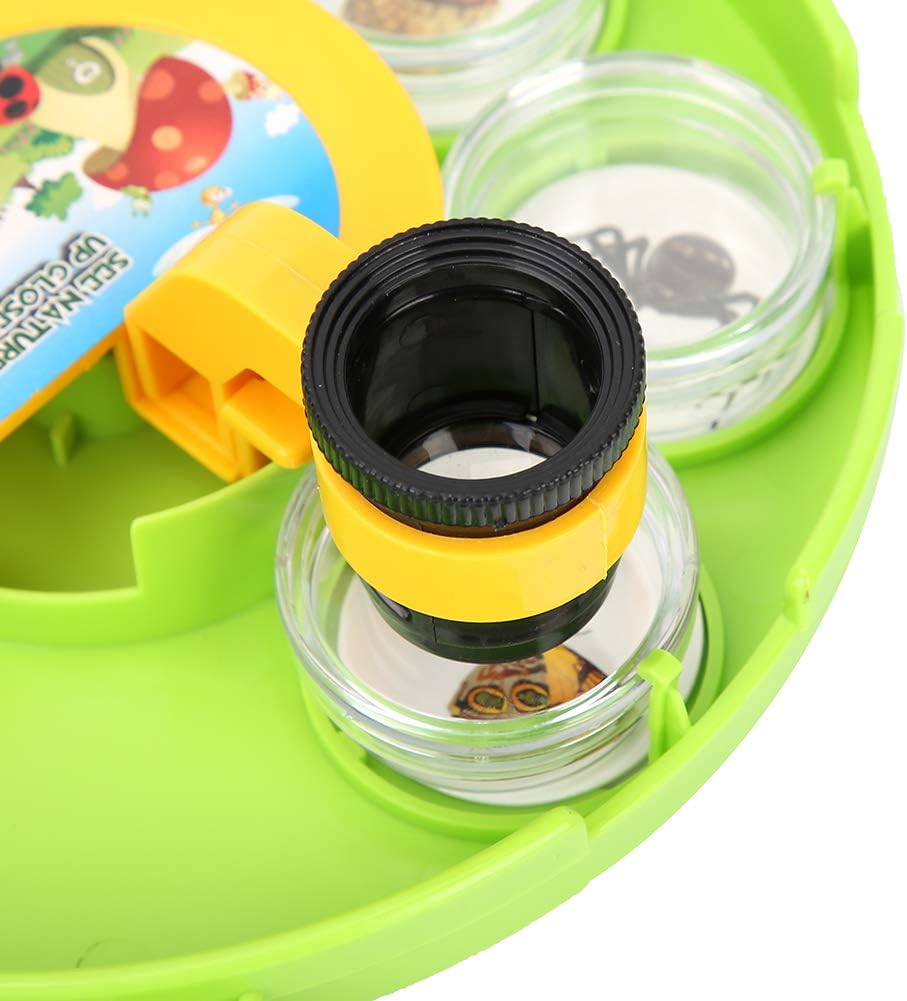 Drfeify Insect Capture Observation Box, Magnifier Container for Kids to ...