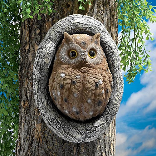 Owl Statues and Figurines