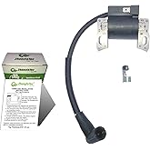 Amazon.com: IGCLINIC 595291 796500 595554 796499 594423 Magneto ...