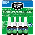 Amazon.com: berkley jensen 24-Hour Allergy Relief Nasal Spray ...