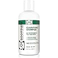 Amazon.com : LOCssentials Clarifying Shampoo for Locs – Professional ...