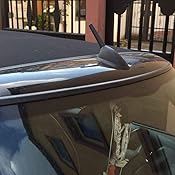 MINI Dachantenne Sport 65202296772: Amazon.de: Auto