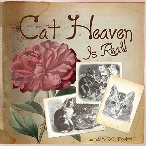 Cat Heaven Is Real: Blackbird, D.C., Frieday, Leah: 9781477569504 ...