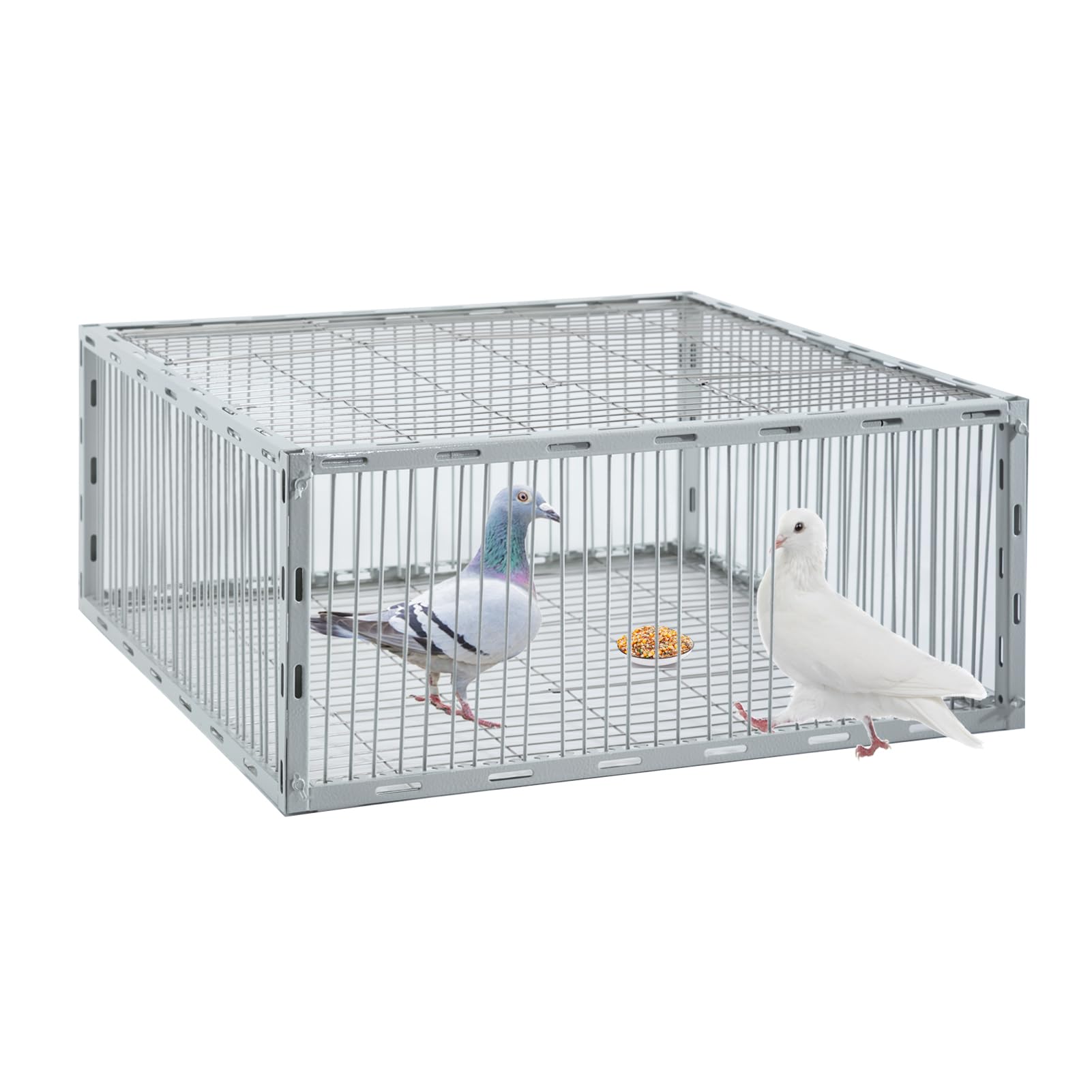 Pigeon Trap with Escape-Proof Design,Pigeon Cage with One-Way Entry ...