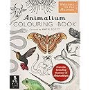 Animalium Colouring Book (Welcome To The Museum): Kate Baker, Katie ...