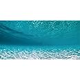 Amazon.com : AWERT 30x18 inches Undersea Aquarium Background Pool Ocean ...
