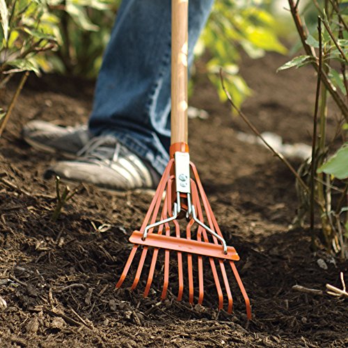 A.M. Leonard Narrow Shrub Rake, 8 Inches Wide, 54 Inch Handle | Pricepulse