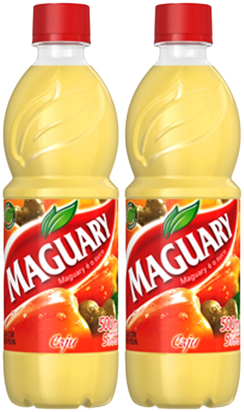 Amazon.com : Maguary Passion Fruit Juice Concentrate - 16.9 FL.Oz ...