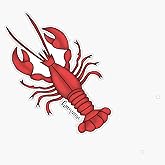 Amazon.com - Louisiana Crawfish Vintage and Distressed Party Gift ...