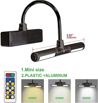 BIGLIGHT Wireless Battery Operated LED Picture Light with Remote ...