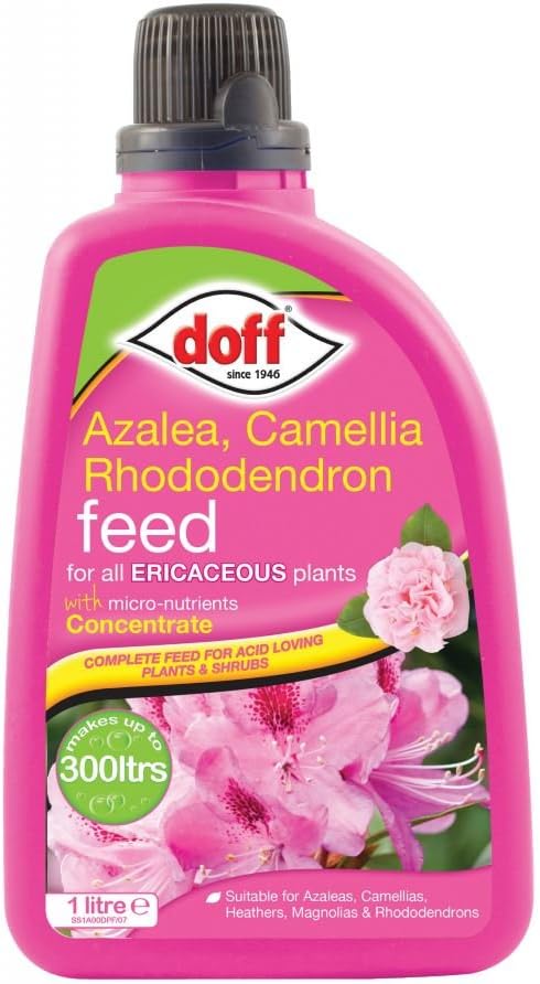Doff Azalea Camellia Rhododendron Ericaceous Feed Food Fertiliser 1L ...