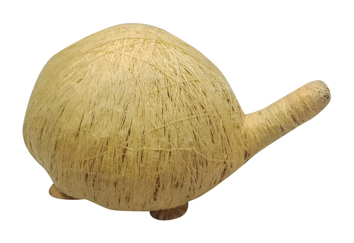 Buy Jyotee Coir Coconut Coil Craft Tortoise (Dimension (L x W x H): 11 ...